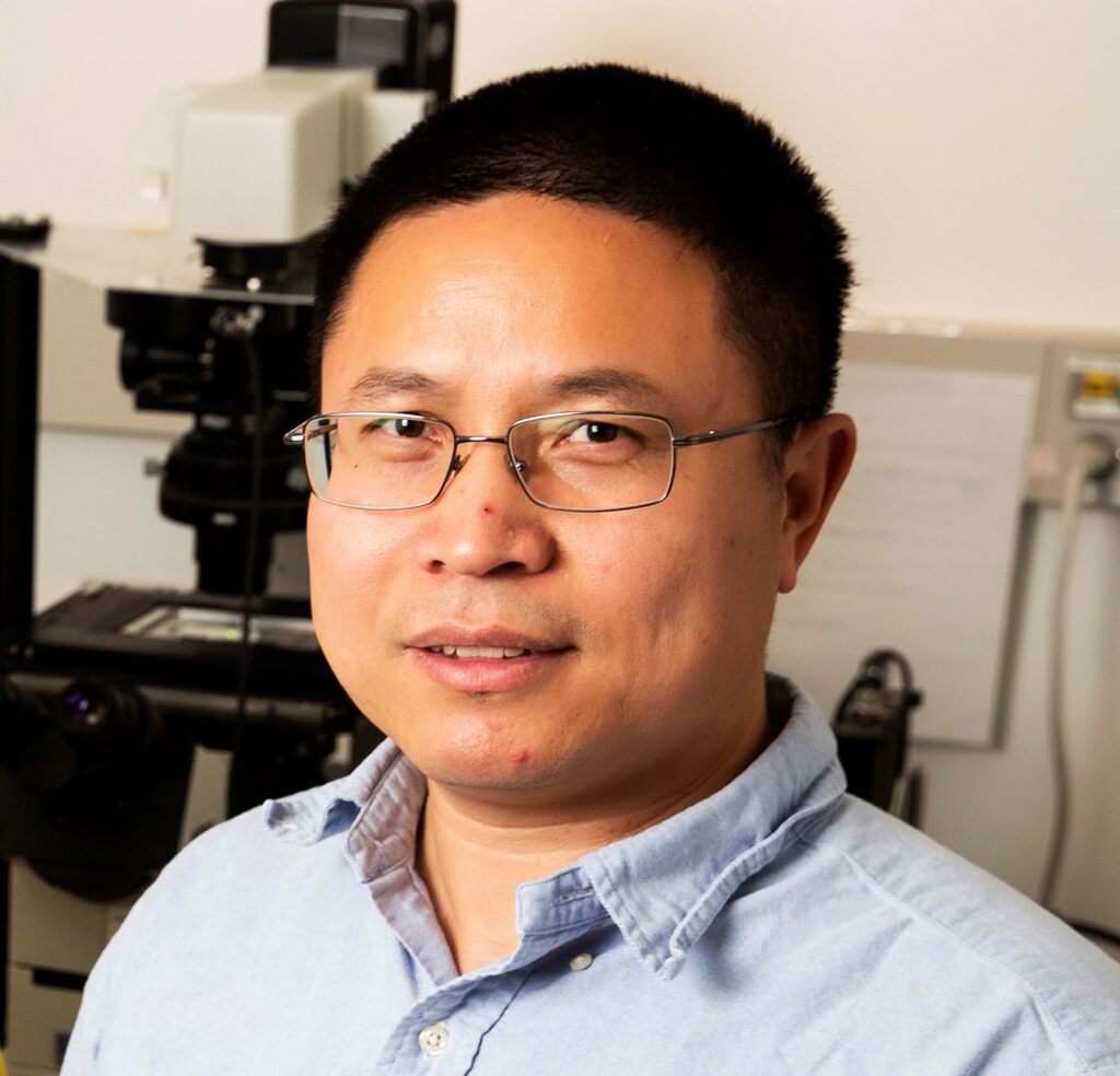 Guoqiang Gu, Ph.D. | Vanderbilt Center for Stem Cell Biology (VCSCB ...